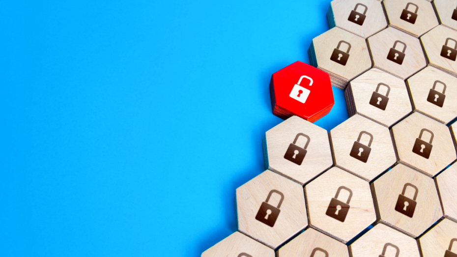 What is Vulnerability Management? A Quick Guide