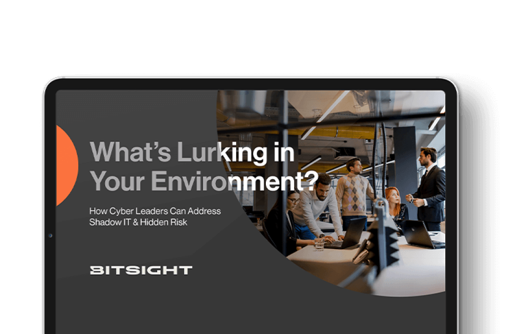 Bitsight for Continuous Monitoring