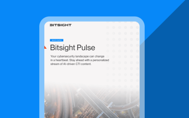 Bitsight Pulse | Bitsight